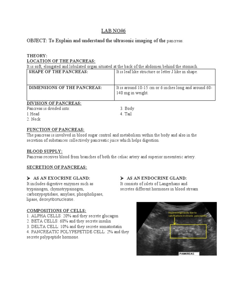 Lab No5 Spleen | PDF | Pancreas | Medical Specialties