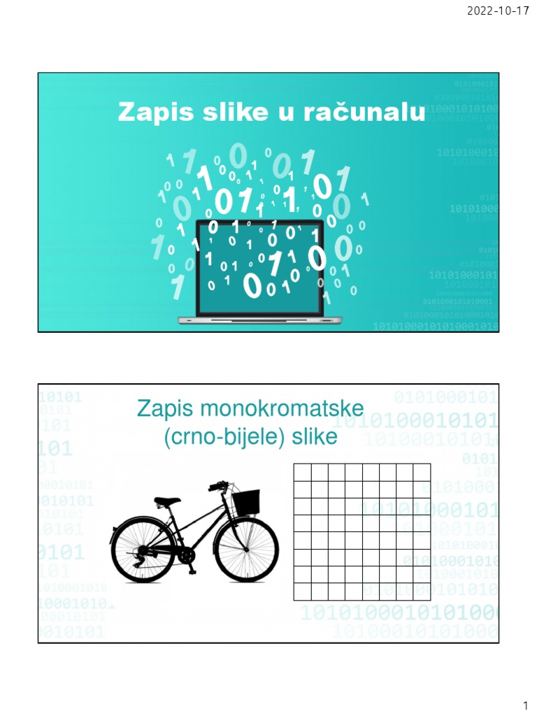 12 - Zapis Slike U Računalu | PDF