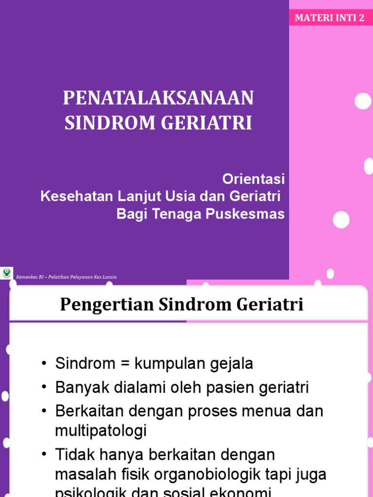 Penatalaksanaan Sindrom Geriatri 14-I | PDF