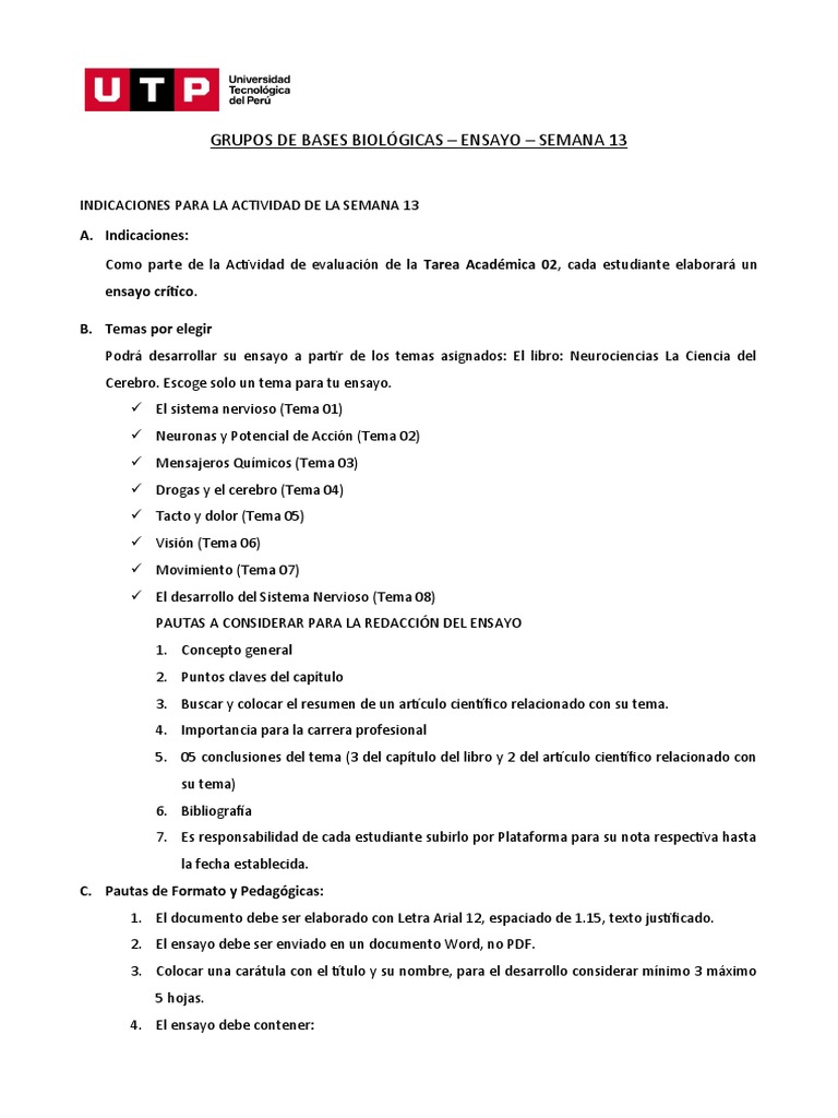 S13.s1 Tarea Académica - TA2 | PDF | Ensayos | Estilo apa