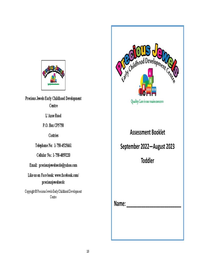 Toddler Assessment Booklet | PDF | Child Development | Cognitive Science
