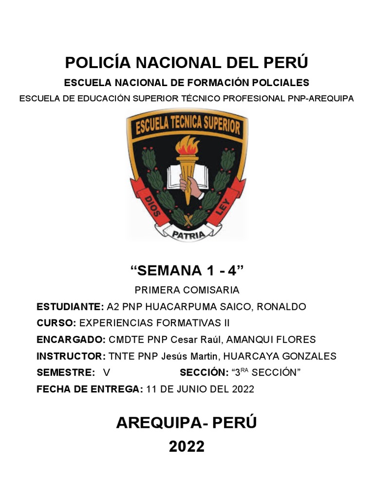 A2 PNP Huacarpuma Saico Ronald 1 | PDF