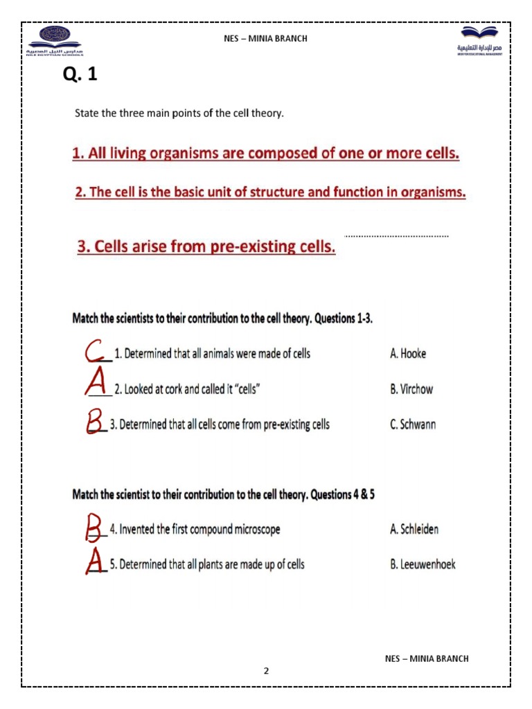 1st Model Answer G6 B2 U2 Science Worksheet | PDF