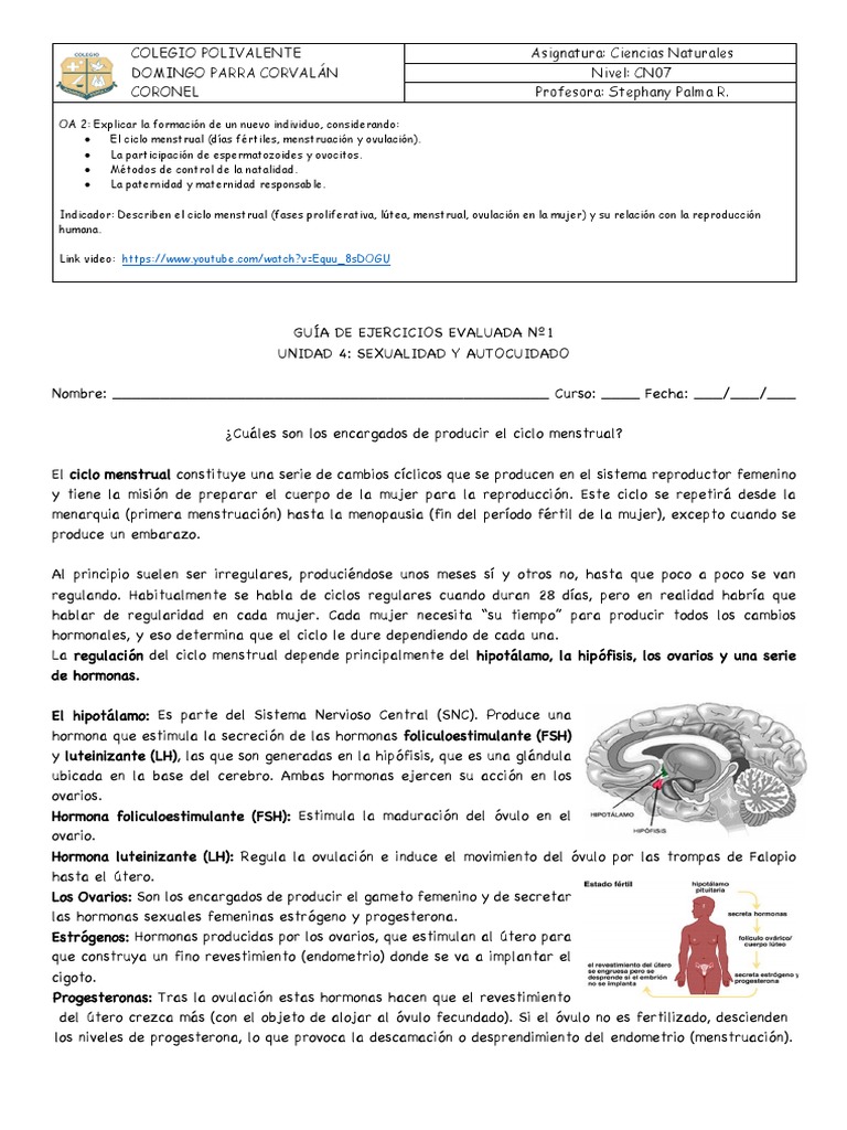 Guía de Ejercicios Evaluada CN07 T3 Sexualidad y Reproducción | PDF ...