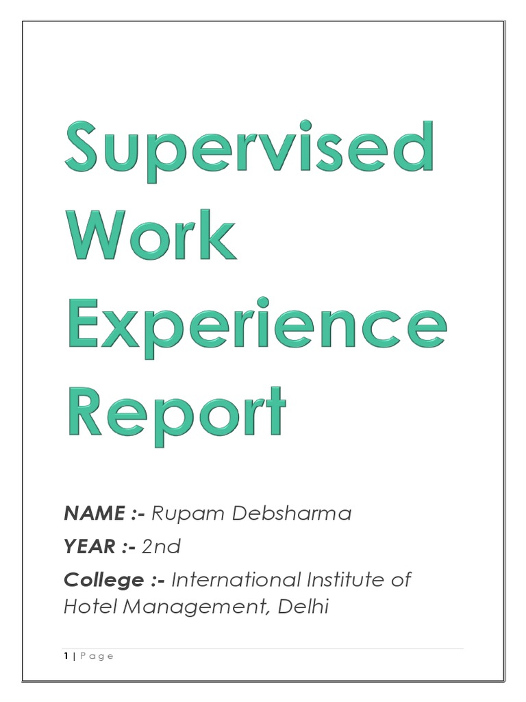 Rupam's SWE Report | PDF