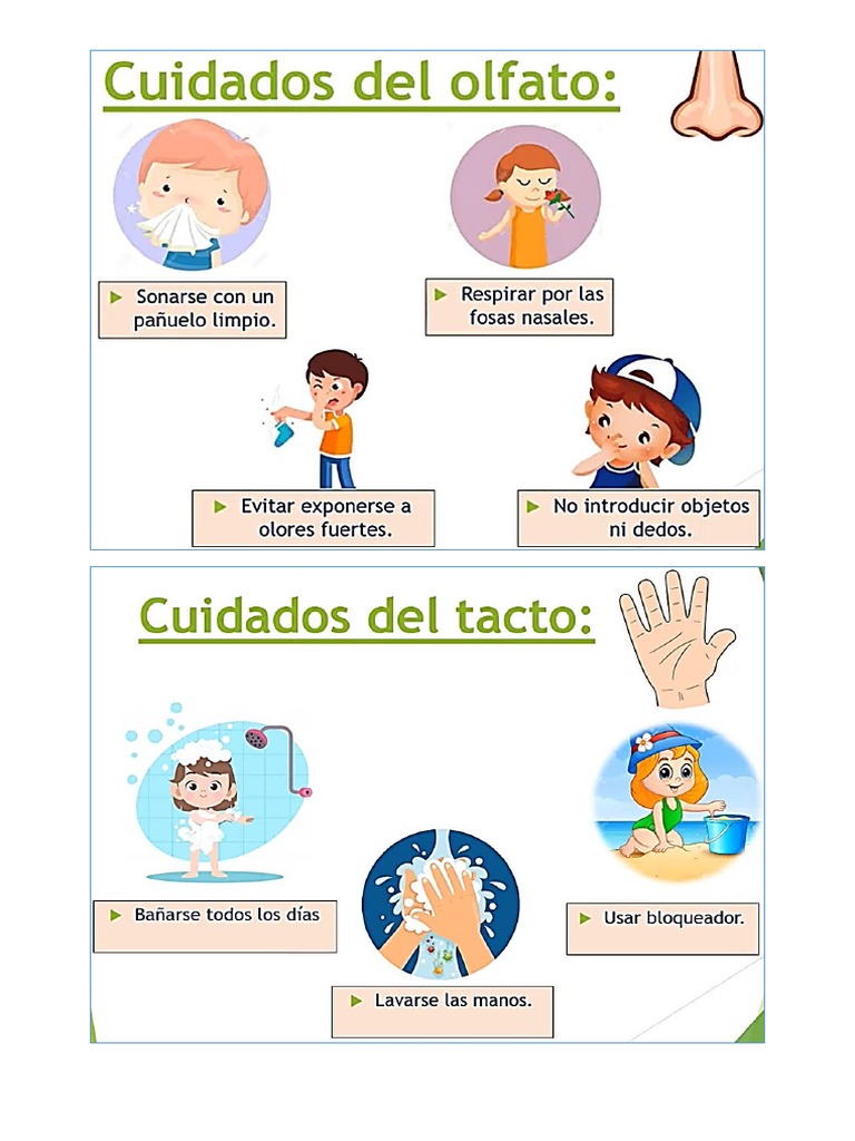 Cuidados de Los Sentidos Hanna | PDF