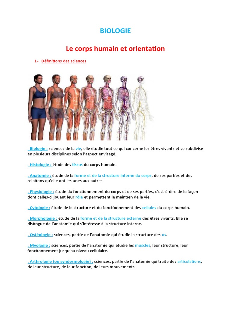 Le Corps Humain Et Orientation | PDF | Sciences sociales ...