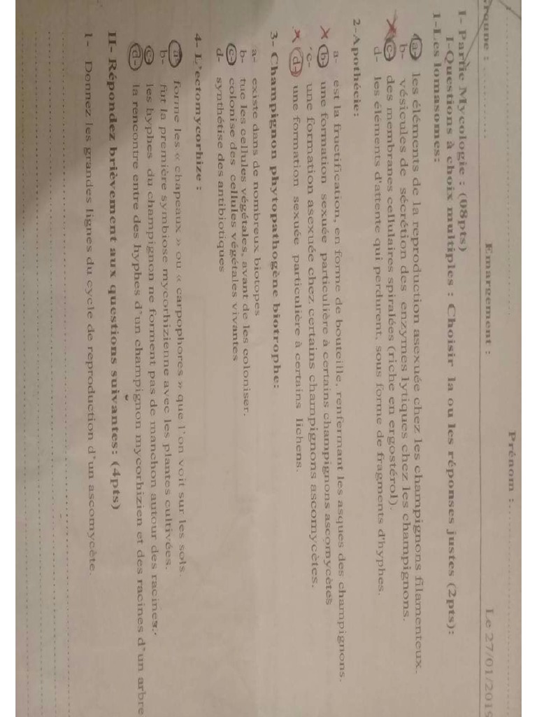 Examens L3 Microbiologie | PDF