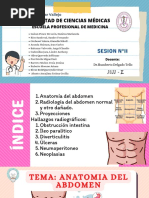 Signos de neumoperitoneo en radiografías | PDF | Abdomen | Hígado