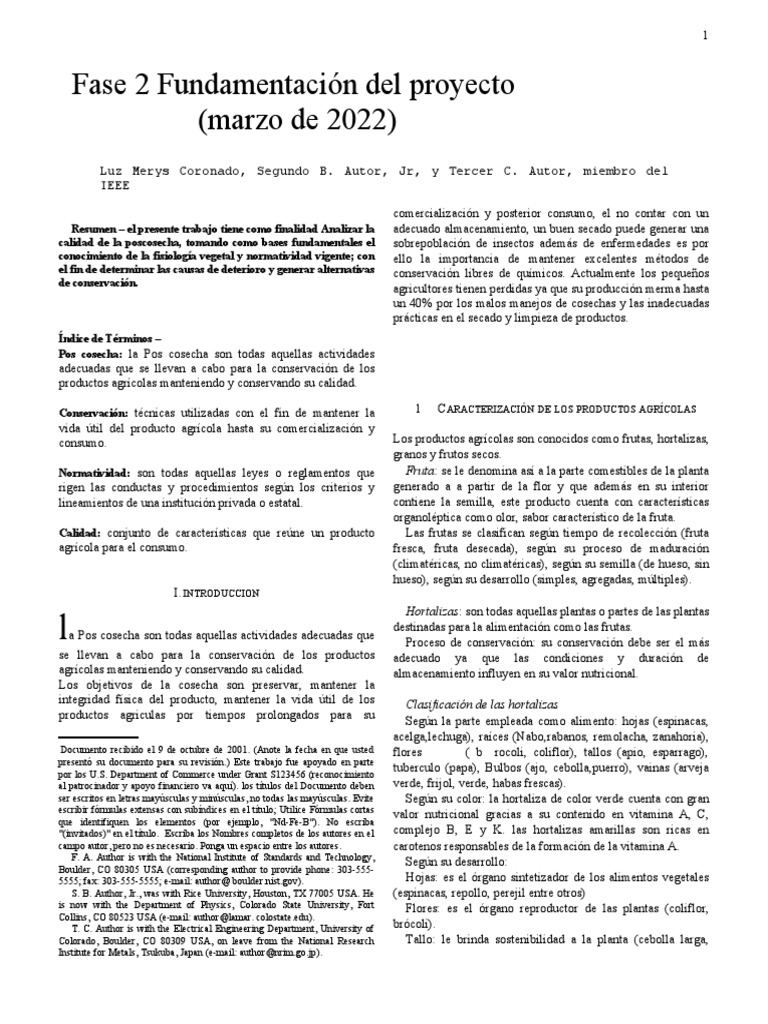 Fase 2 Fundamentación Del Proyecto - Luz Coronado | PDF