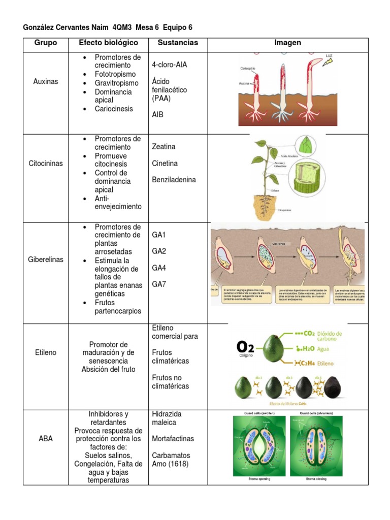 Reguladores Del Crecimiento Vegetal | PDF