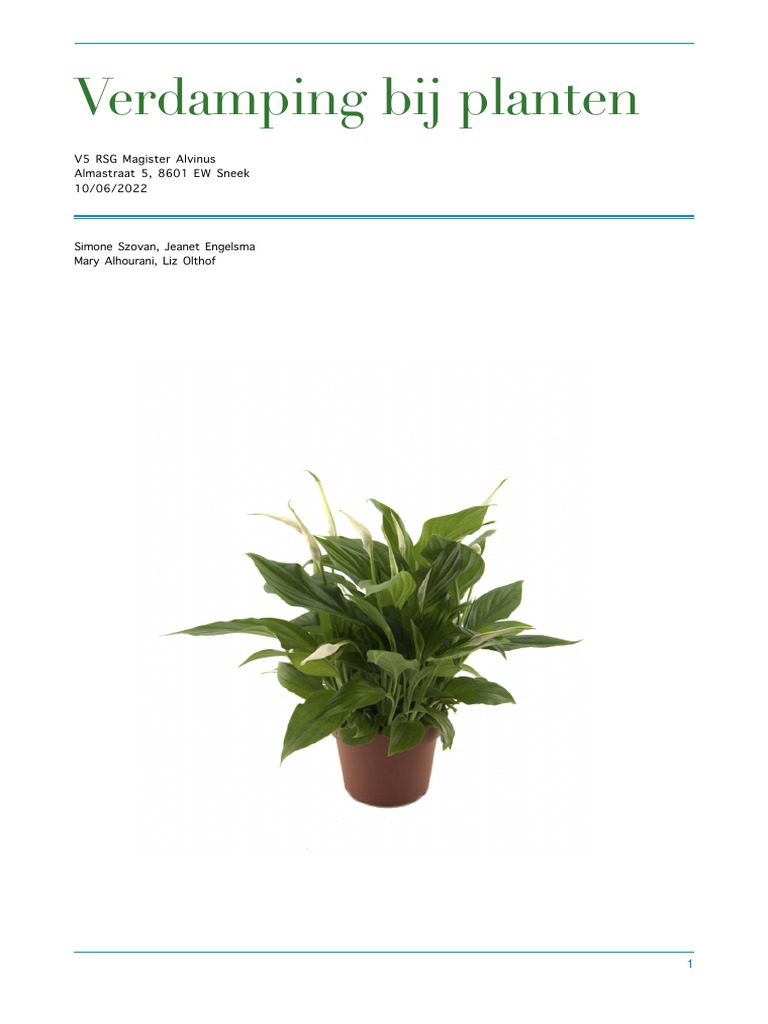 Biologie Verslag Planten-1 | PDF