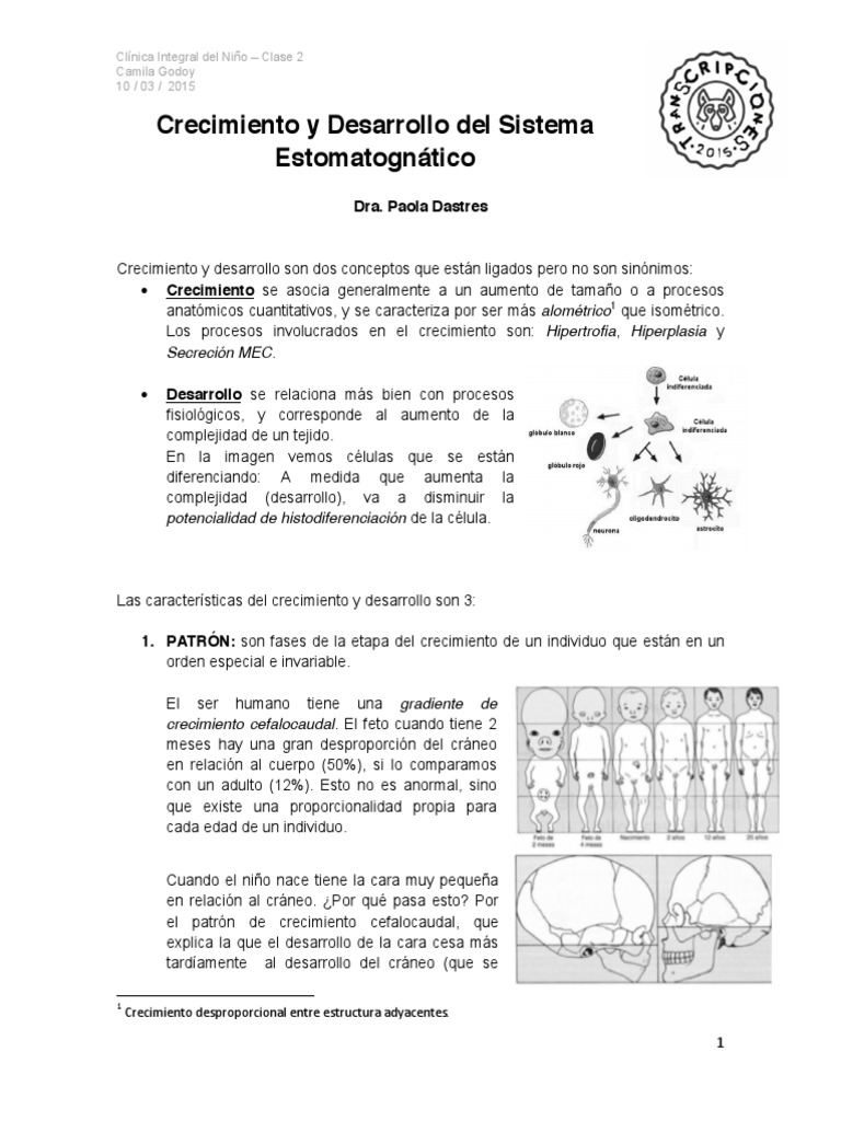 Crecimiento y Desarrollo Estomatognático | PDF | Cráneo | Hueso