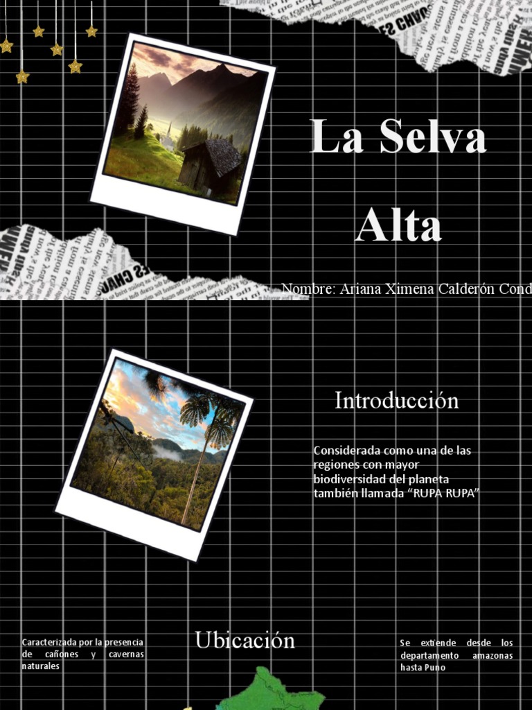 La Selva Alta | PDF | Selva amazónica | Deforestación