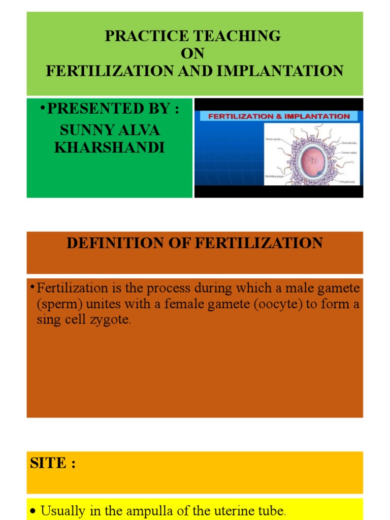 Practice Teaching On Fertilization and Implantation. | PDF ...