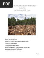 Broiler Production SBA Sample | PDF