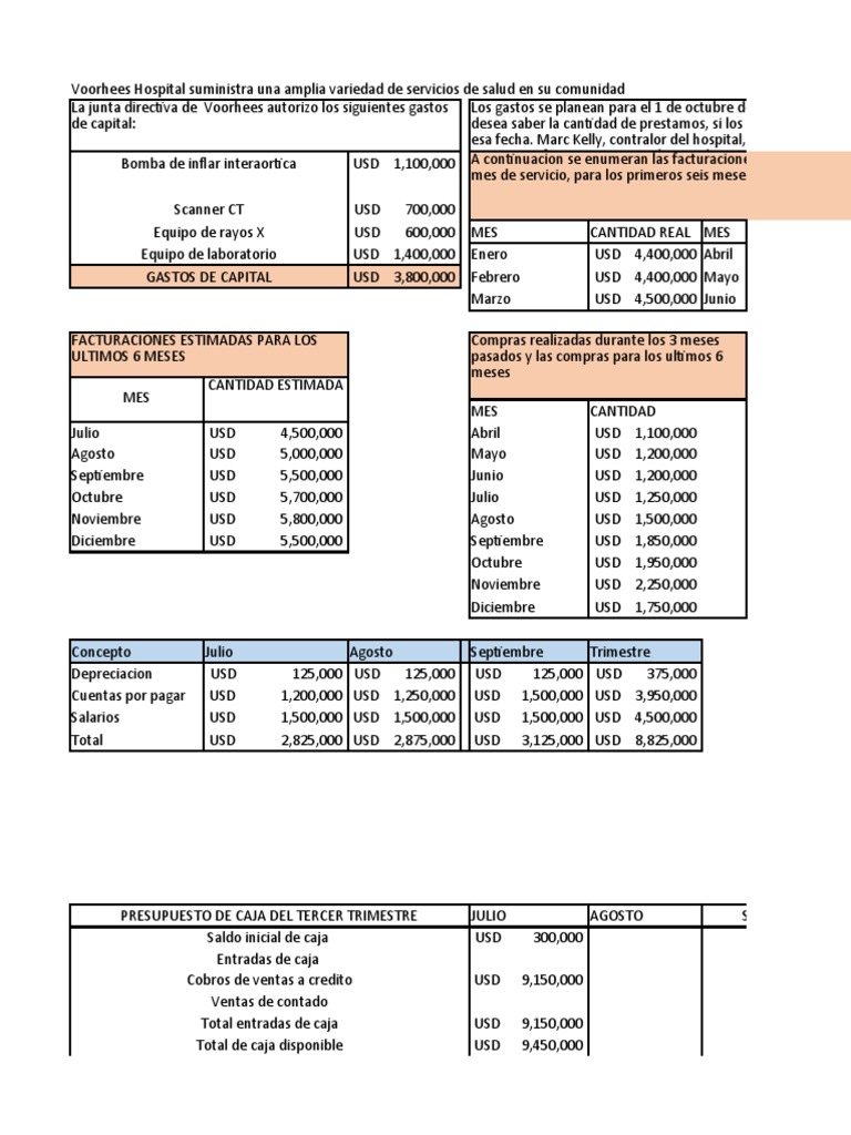 Ppto Flujo de Caja | PDF | Presupuesto | Comercio