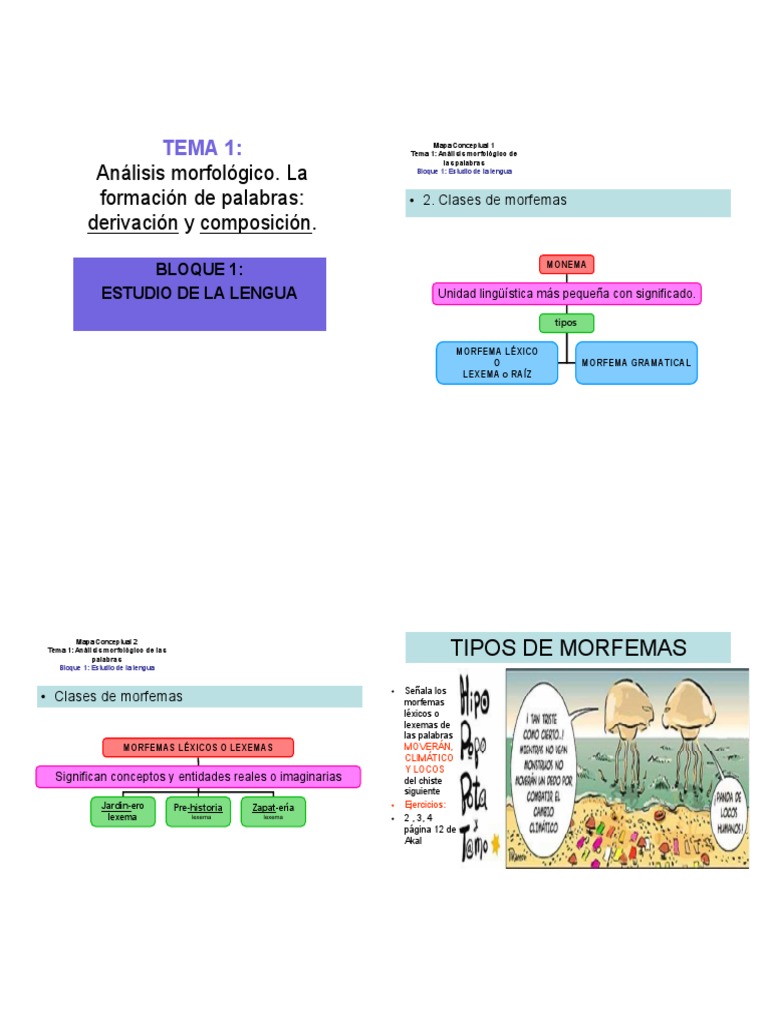 Analisis Morfologico | PDF