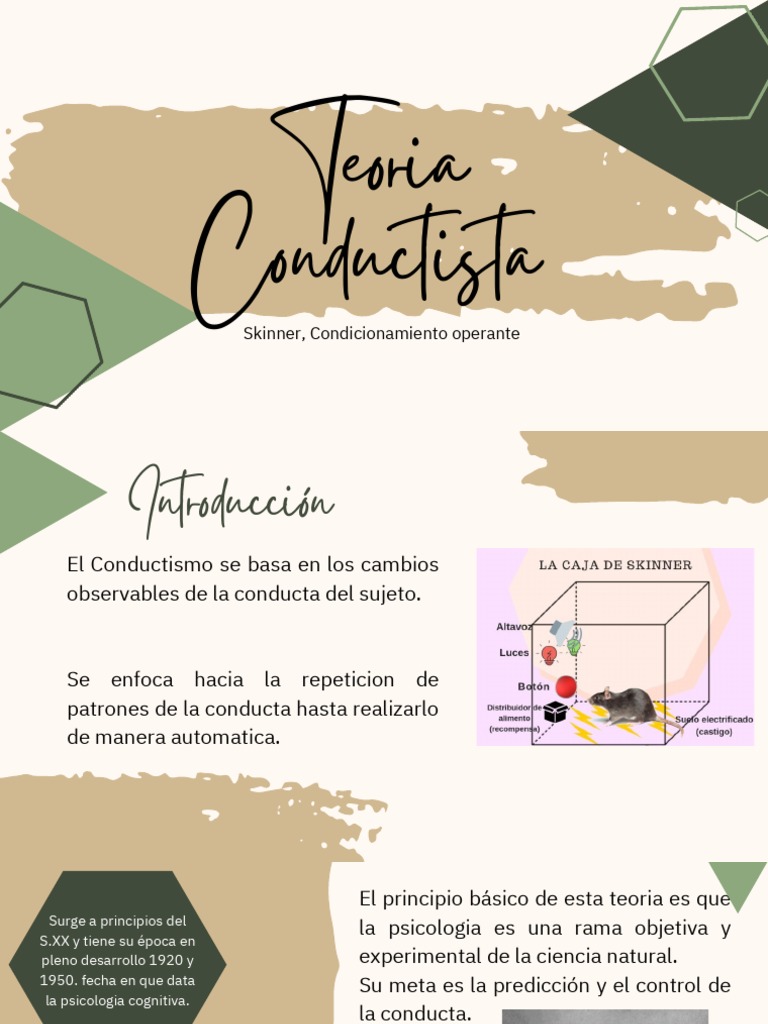 Teoría Conductista de Skinner | PDF
