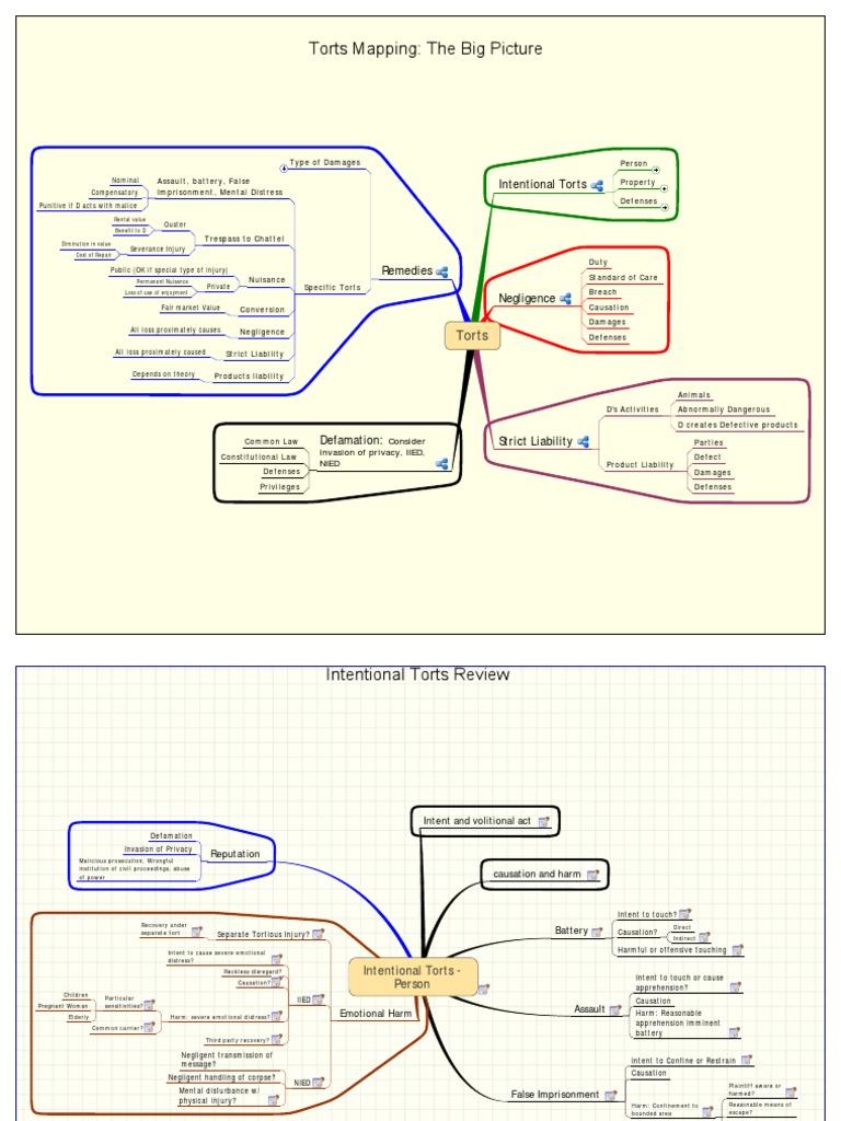 Torts Overview Chart | PDF | Tort | Defamation