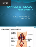Pemahaman Tractus Urinaria dan Fisiologinya | PDF