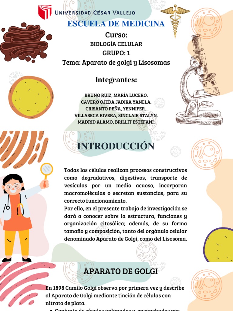 Aparato de Golgi y Lisosomas: Funciones y Estructura | PDF | Lisosoma | Membrana celular