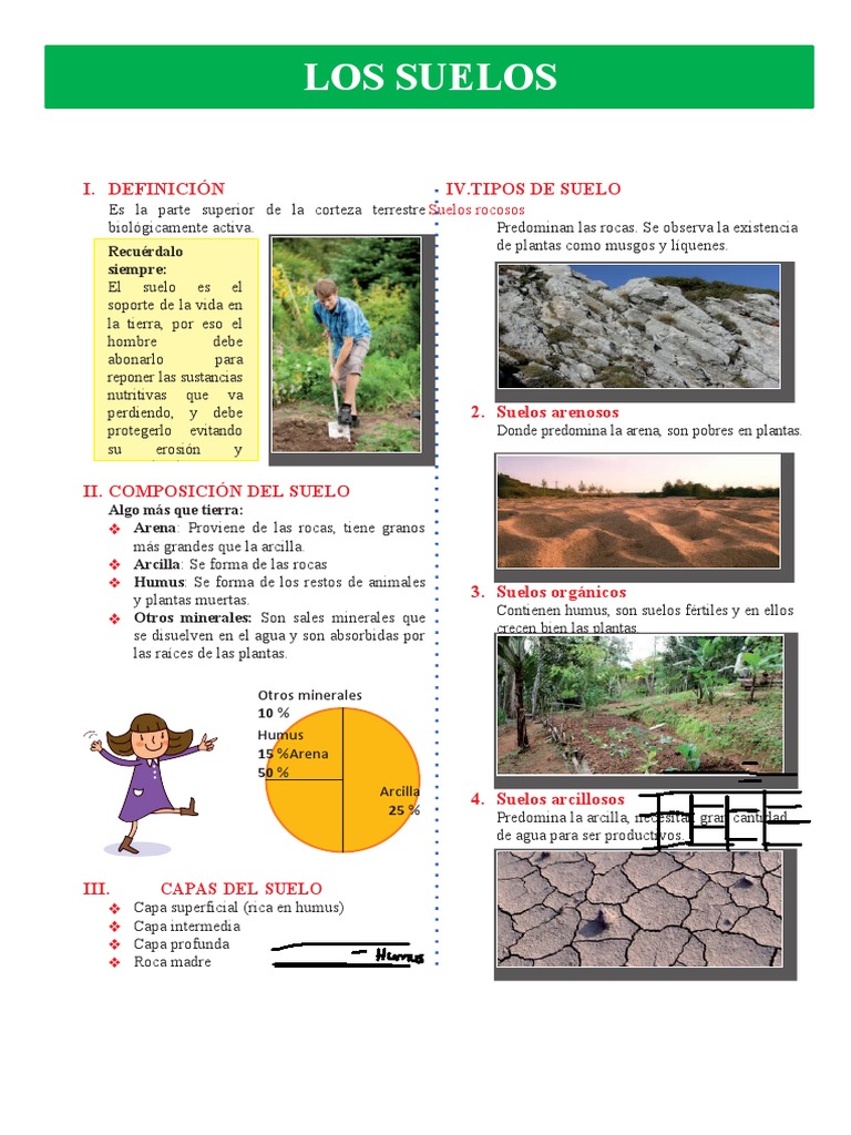 Ciencia y Tecnología Septima Clase - (Los Suelos) | PDF | Suelo | Roca ...