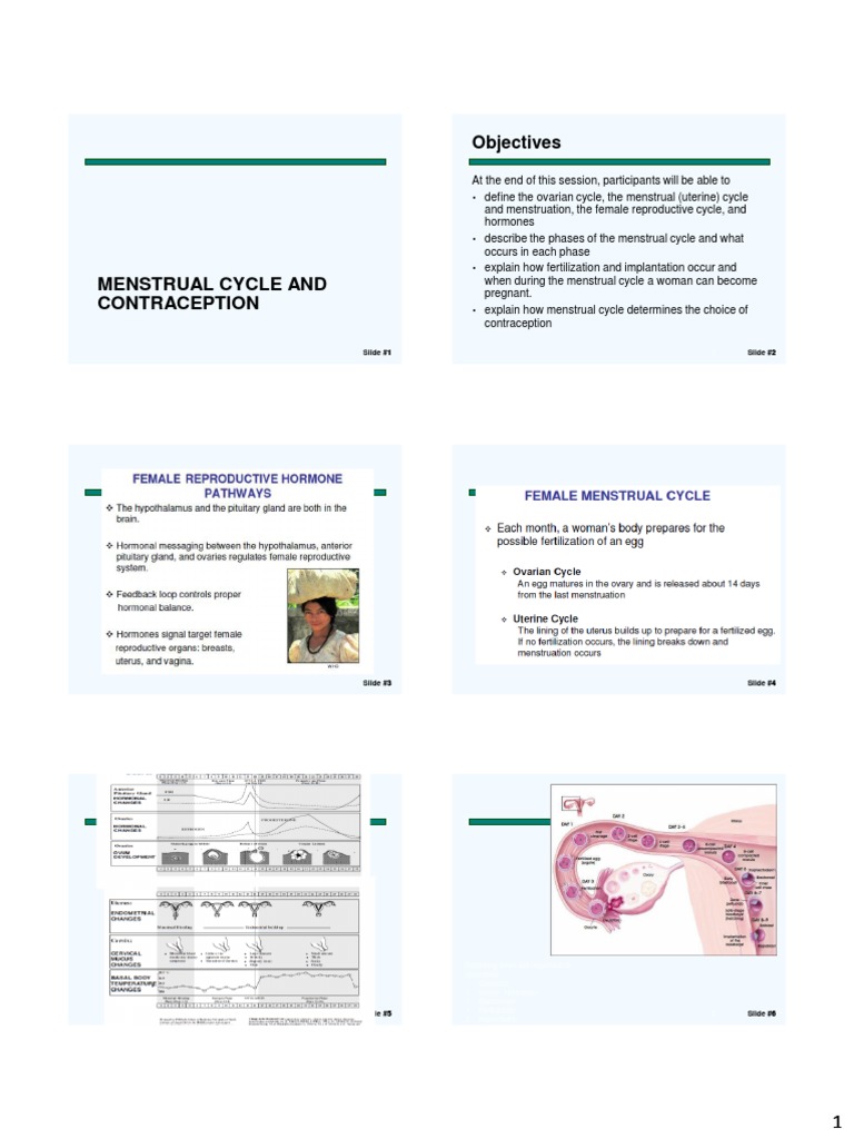 MENSTRUAL CYCLE and Contraceptive | PDF