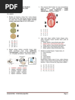 Soal Panca Indra Kelas 3 | PDF