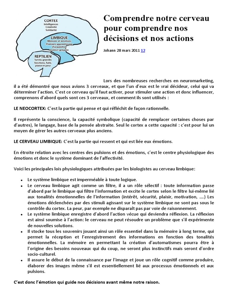 Les 3 cerveaux et nos décisions d'achat | PDF | Émotions | Cerveau