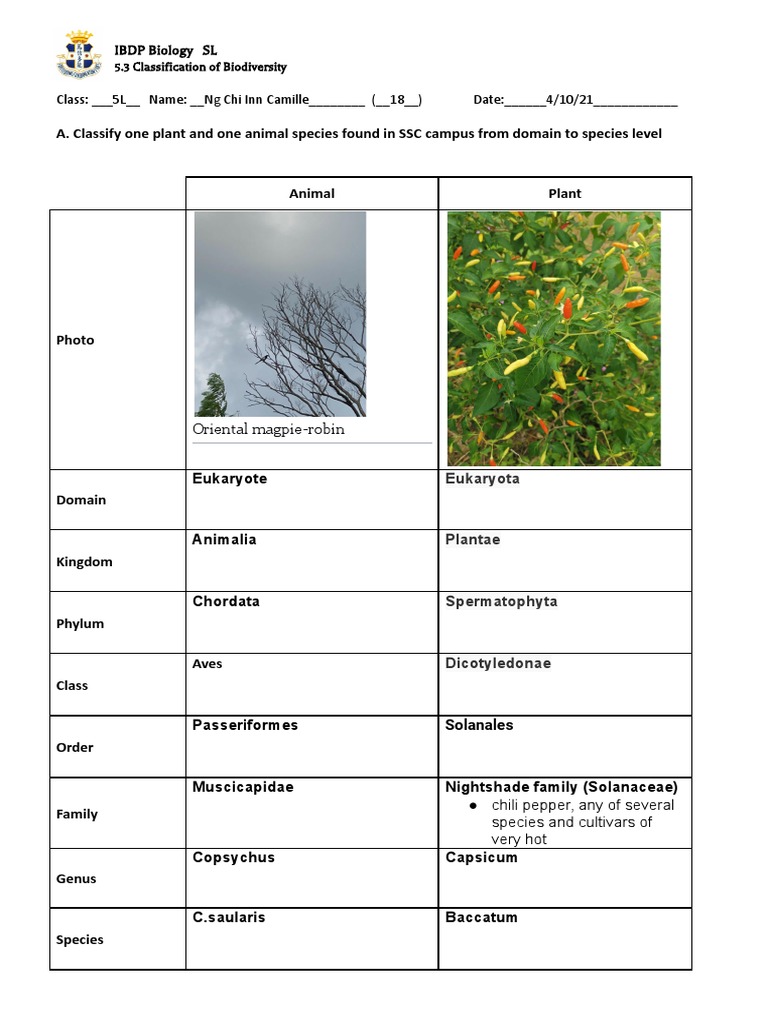 Classification of Common Plant and Animal Species Found on SSC Campus ...