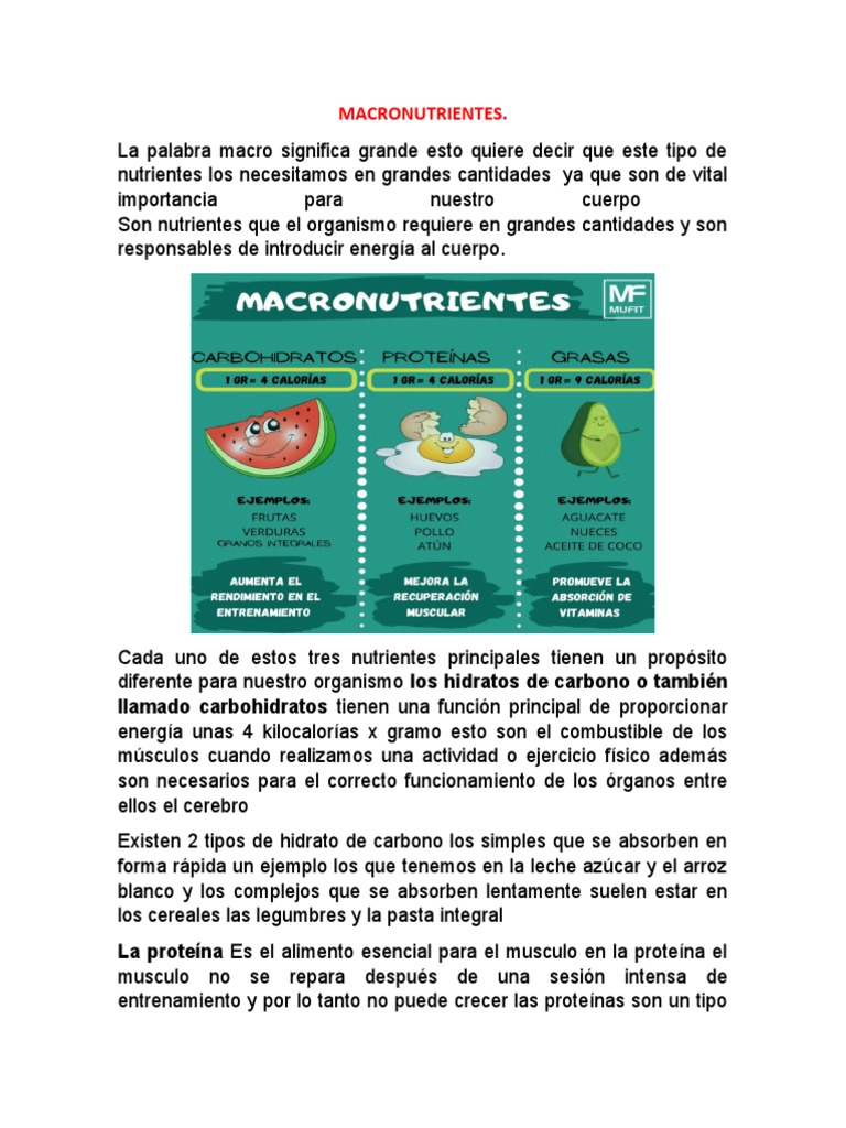 Macronutrientes: Funciones y Tipos | PDF | Nutrientes | Proteínas