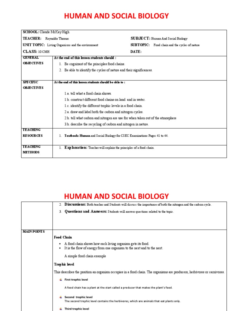 Food Chain and Cycles of Nature | PDF | Food Web | Biology