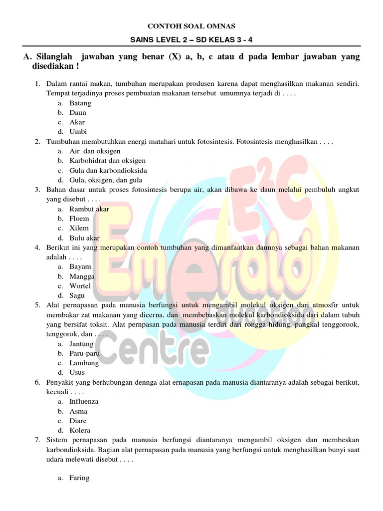 Omnas Contoh Soal S 2 | PDF