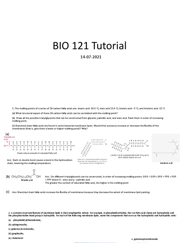 BIO 121 Tutorial 14-07-2021 | PDF | Lipid Bilayer | Lipid