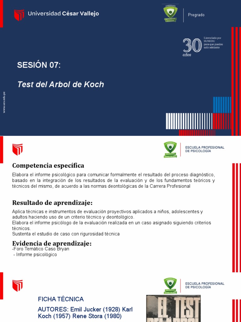 Informe sobre el Test del Árbol de Koch | PDF | Sicología | Evaluación
