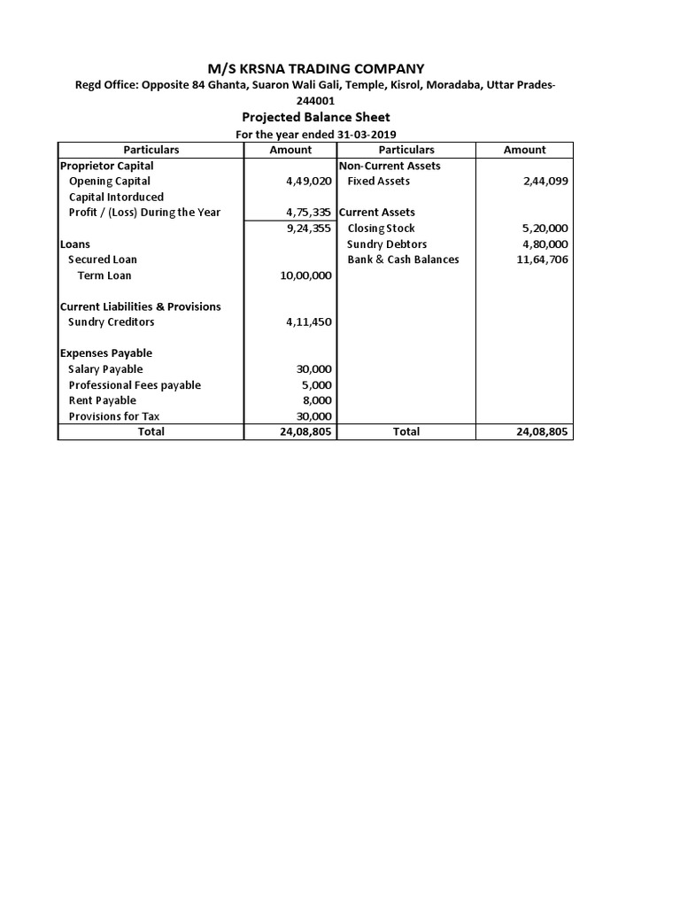 projected-balance-sheet-fy-m19-pdf-expense-balance-sheet