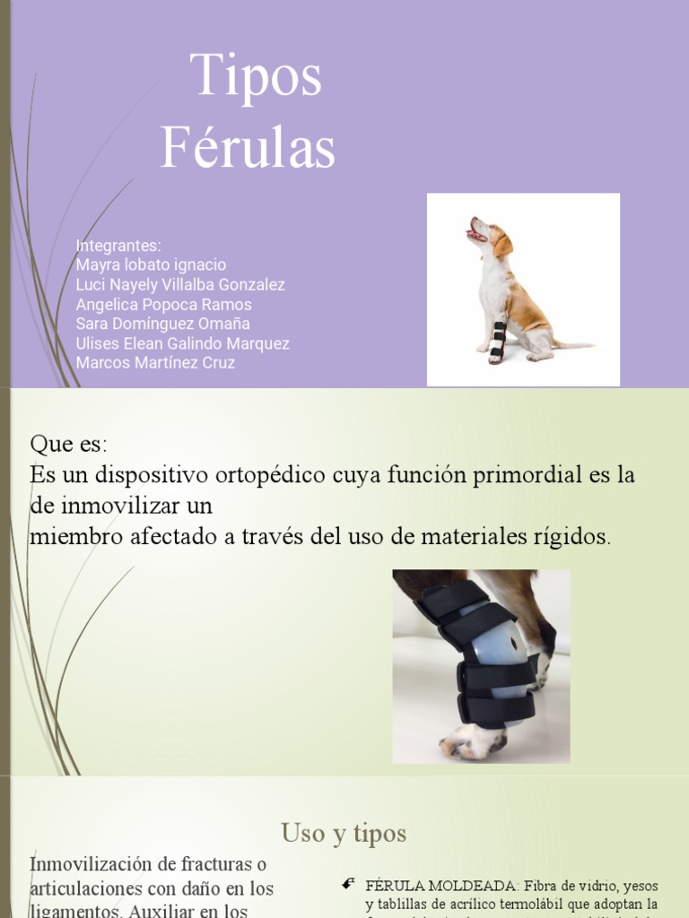 Tipos de férulas para inmovilización | PDF | Rodilla | Codo