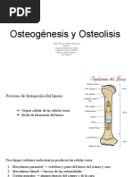 Osificacion | PDF | Hueso | Tejido (biología)