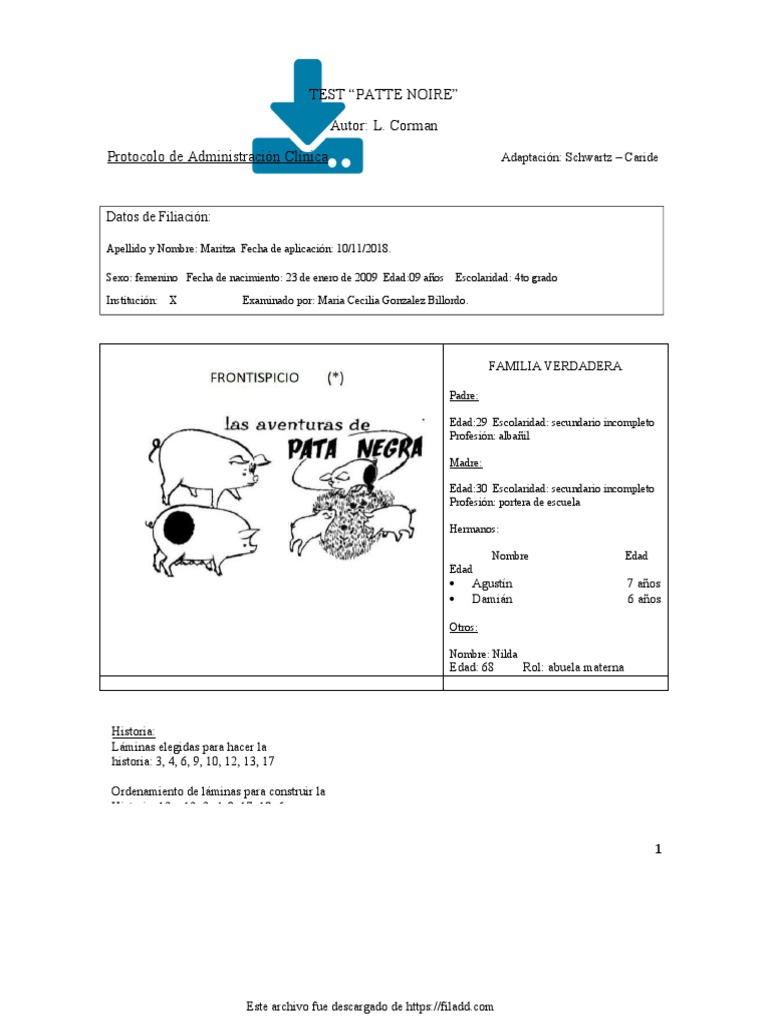 Protocolo Test Patte Noire | PDF