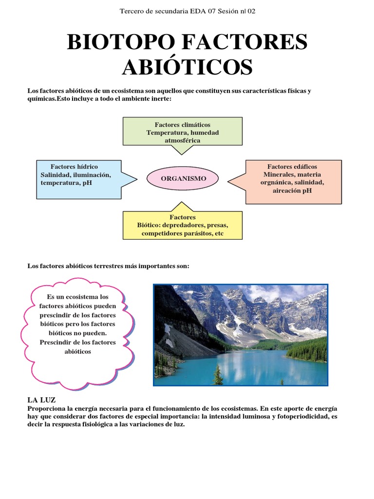 Los Factores Abióticos para Tercer Grado de Secundaria | PDF | Suelo | Agua