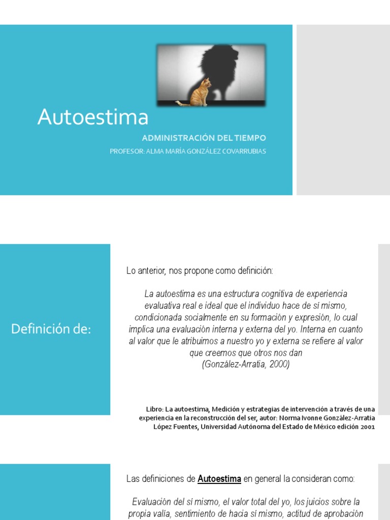 Unidad II Autoestima, Inteligencia E, Motivación y Liderazgo | PDF | Liderazgo | Motivación