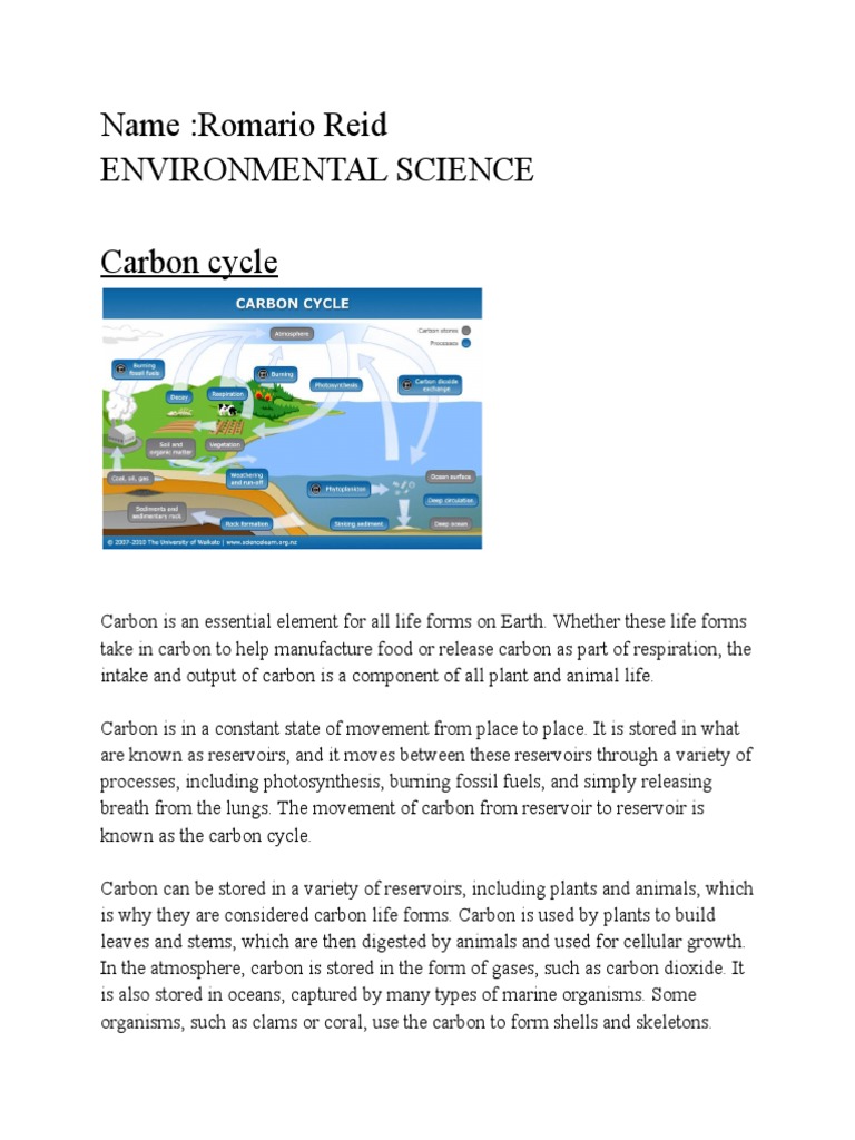 The Importance of Biogeochemical Cycles | PDF | Carbon Cycle | Phosphorus