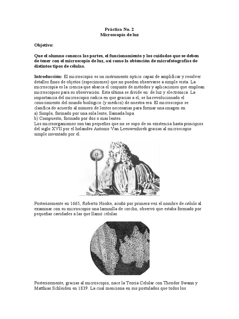 Microscopía de Luz: Uso y Cuidados | PDF | Resolución angular | Microscopio
