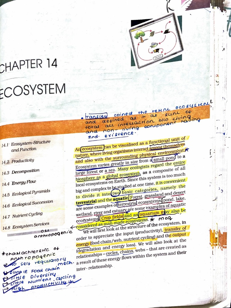 Ecosystem NCERT PDF | PDF