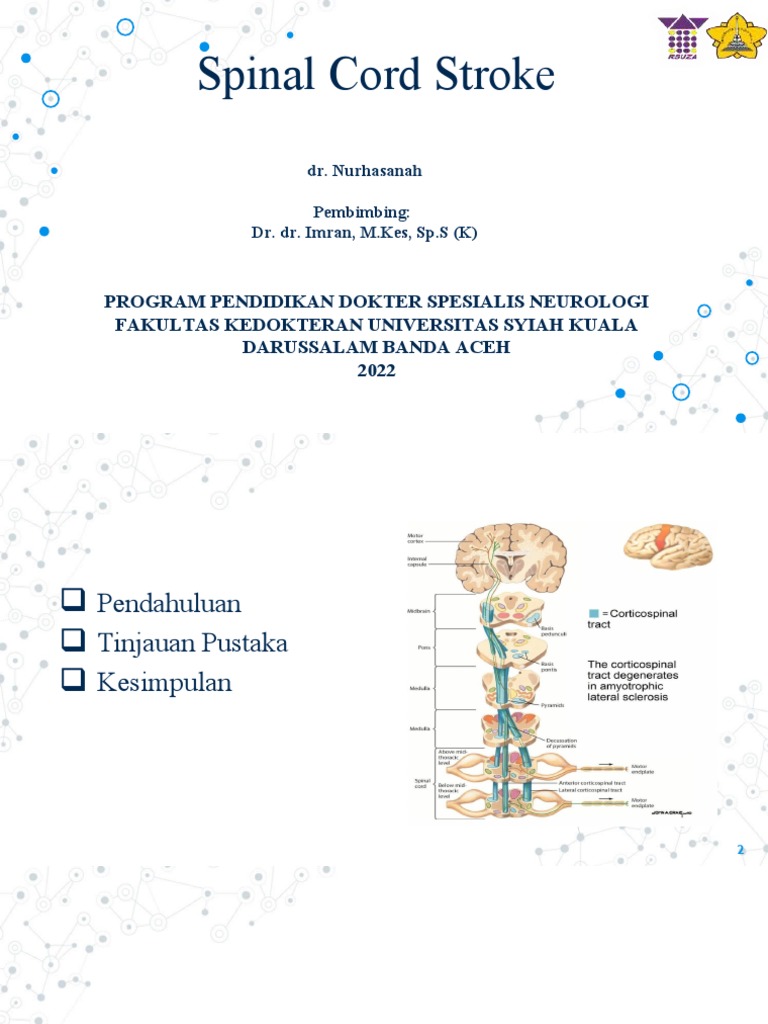 Spinal Cord Stroke: A Review of Anatomy, Pathophysiology, Clinical ...