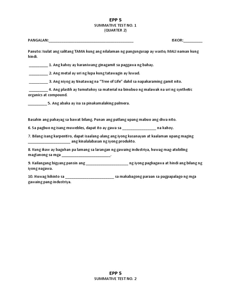 EPP 5 Summative Test Quarter 2 | PDF