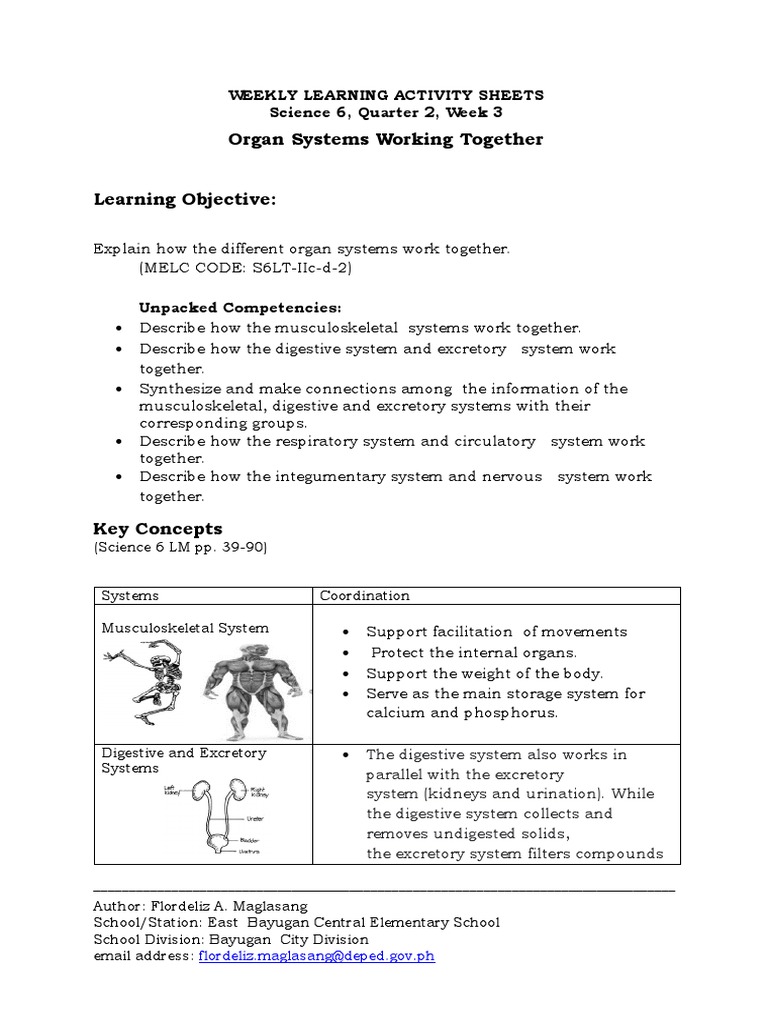 S6 - Q2 - Week 3 | PDF