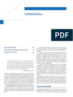 Prospecto NIFURYL | PDF | Infección del tracto urinario ...