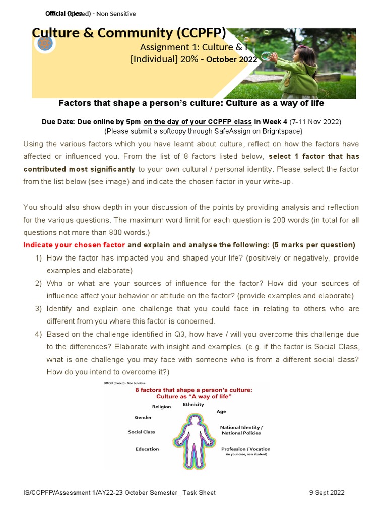 CCPFP Assignment 1 Task Sheet 2022 | PDF | Turnitin | Attitude (Psychology) CCPFP Assignment 1 Task Sheet 2022 | PDF | Turnitin | Attitude (Psychology)